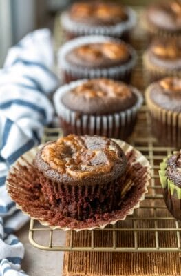 Chocolate Cheesecake Cupcakes - I Heart Eating
