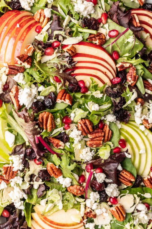 Fall Harvest Salad with Apple Cider Vinaigrette - I Heart Eating